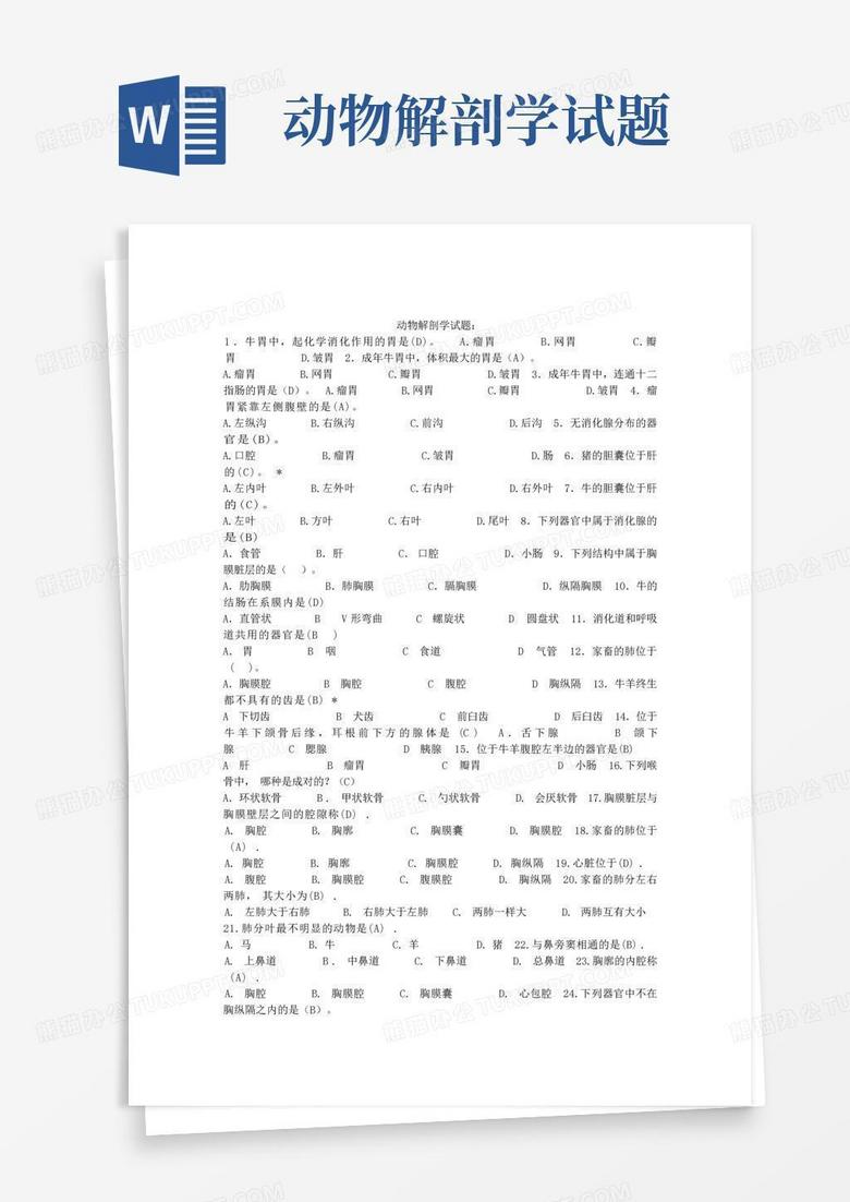 动物解剖学试题Word模板下载 编号ljwwpxyb 熊猫办公
