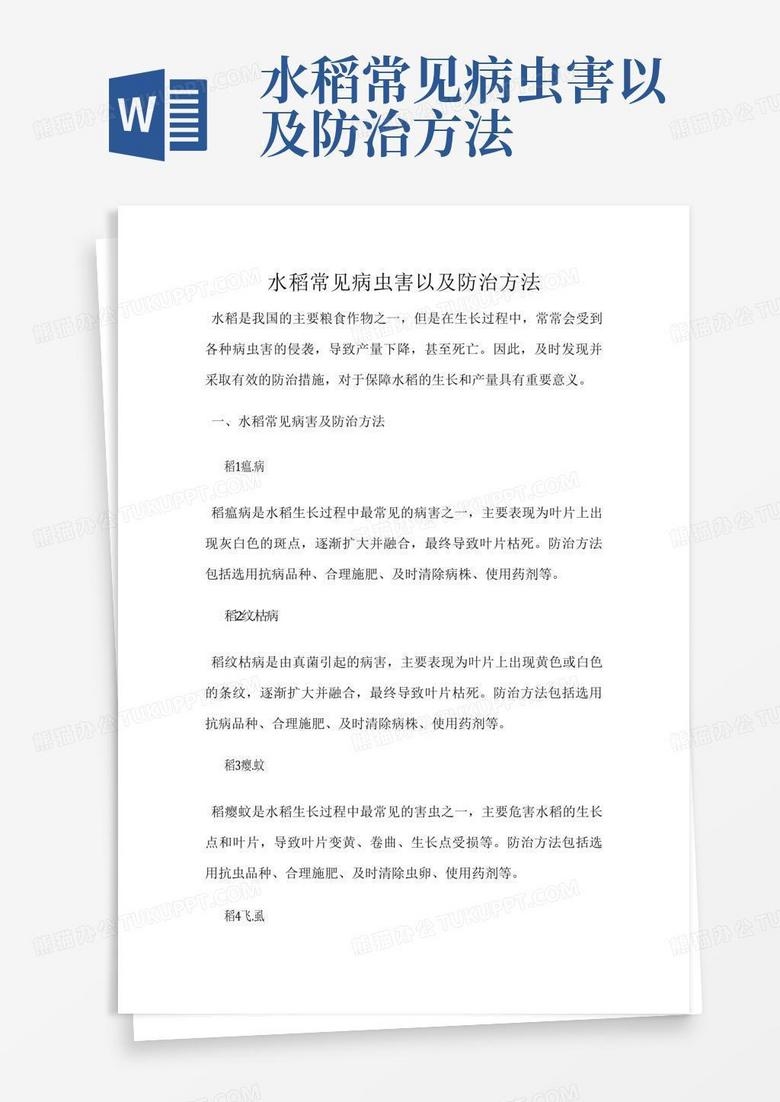 水稻常见病虫害以及防治方法Word模板下载 编号qoezvavx 熊猫办公