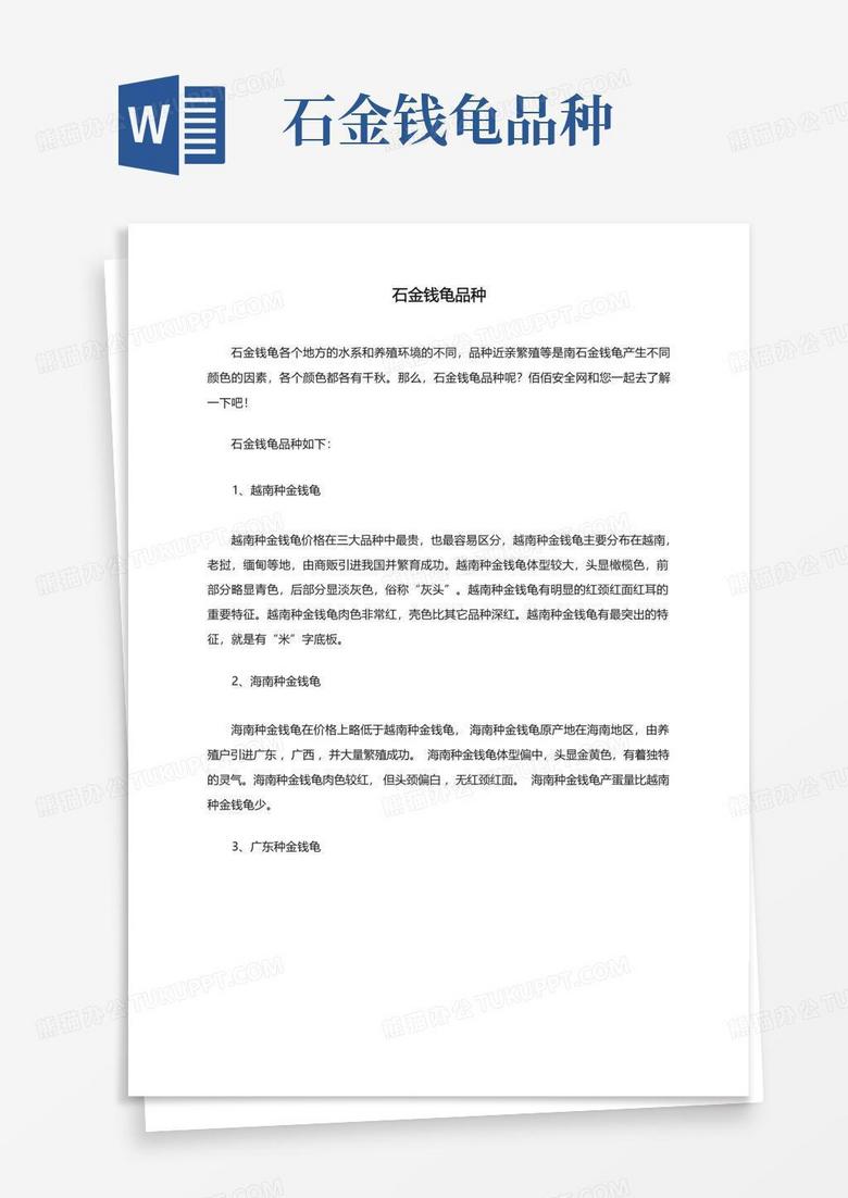 石金钱龟品种Word模板下载 编号qvvexazw 熊猫办公