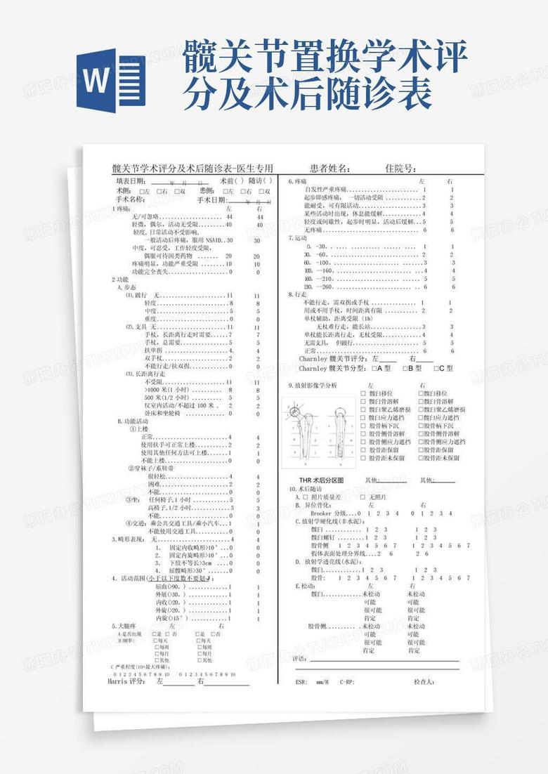髋关节置换学术评分及术后随诊表Word模板下载 编号lyjneyed 熊猫办公