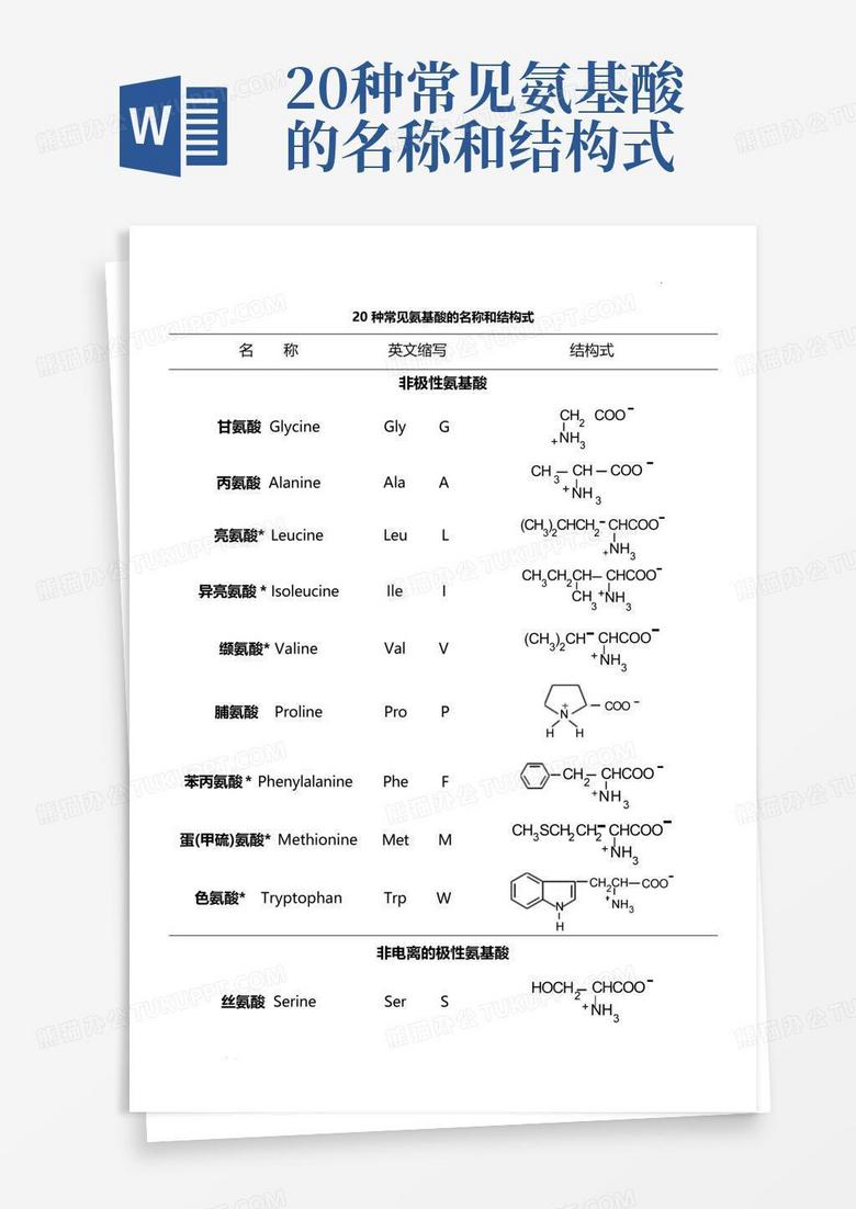 20种常见氨基酸的名称和结构式Word模板下载 编号qvvrejmn 熊猫办公