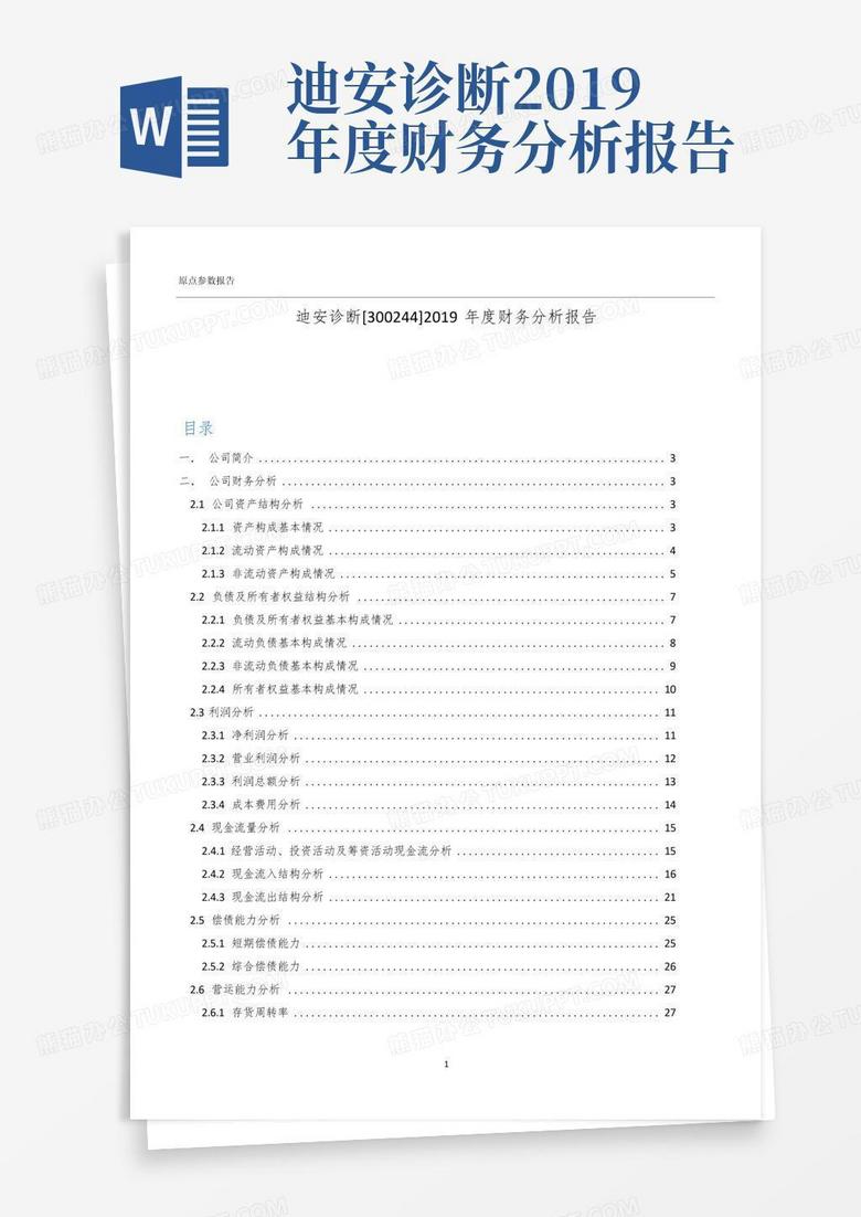 迪安诊断2019年度财务分析报告Word模板下载 编号qjwxvdrb 熊猫办公