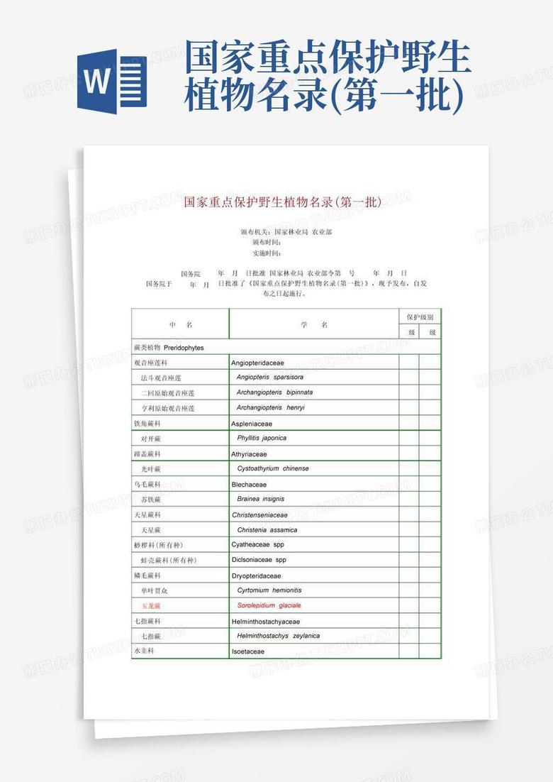 国家重点保护野生植物名录 第一批 Word模板下载 编号lxxgnmnw 熊猫办公