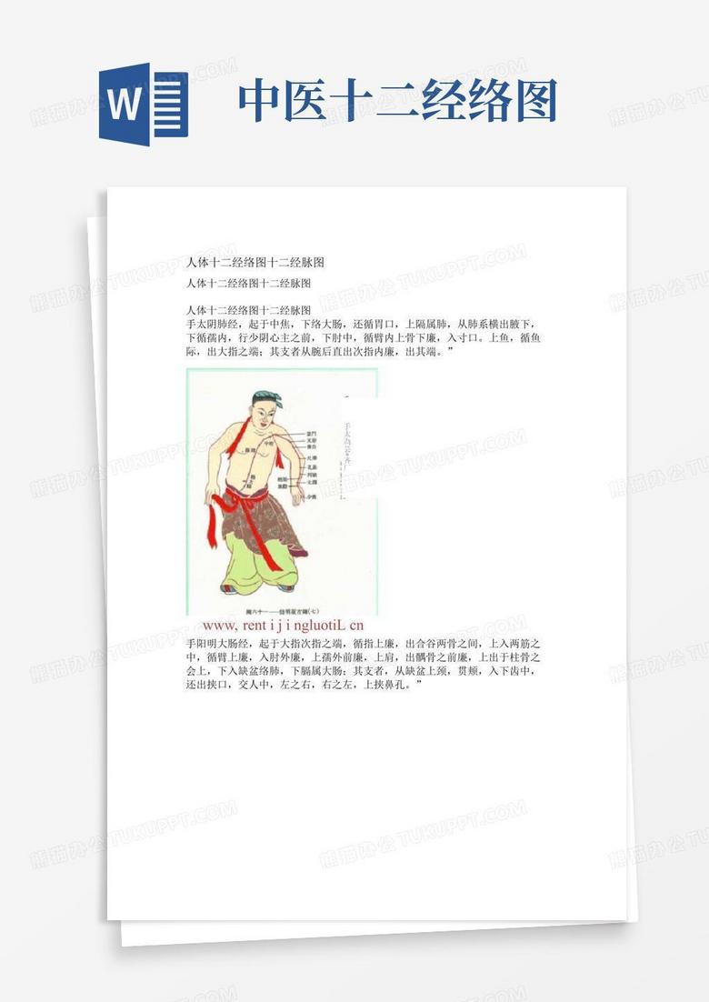 中医十二经络图Word模板下载 编号ljwegnvm 熊猫办公