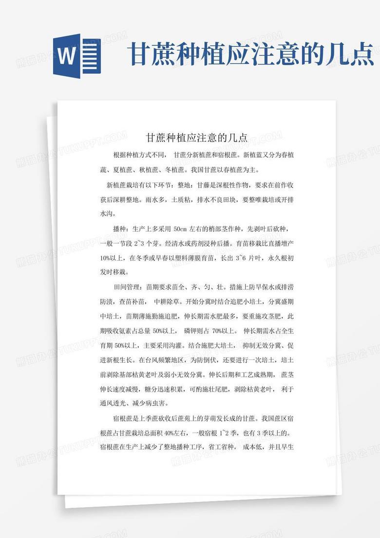 甘蔗种植应注意的几点 Word模板下载 编号loembbjg 熊猫办公