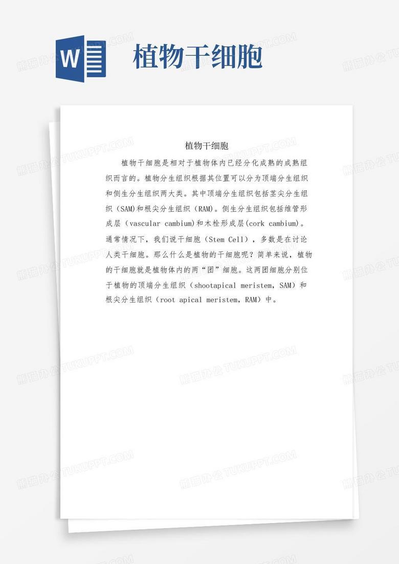 植物干细胞 Word模板下载 编号qpdxrgdv 熊猫办公