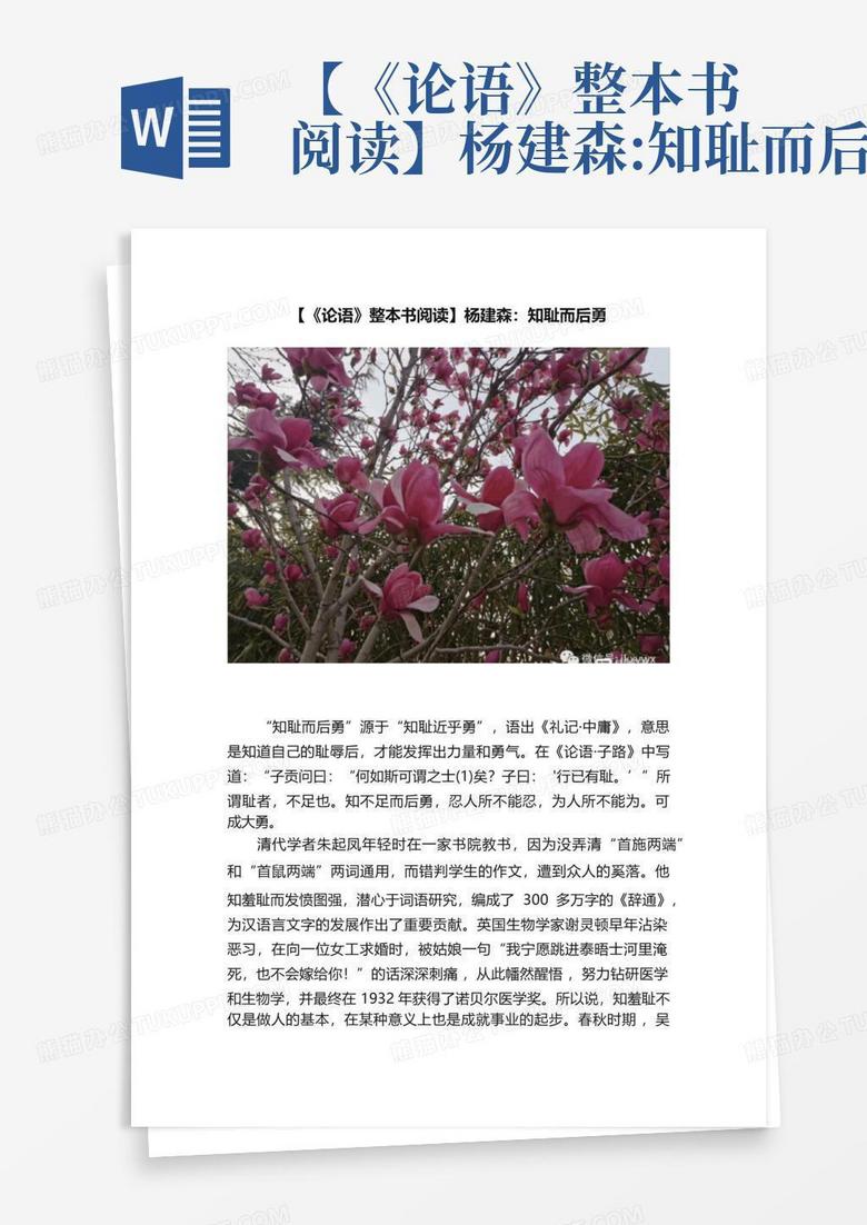 论语整本书阅读杨建森 知耻而后勇Word模板下载 编号ldknvgay 熊猫办公