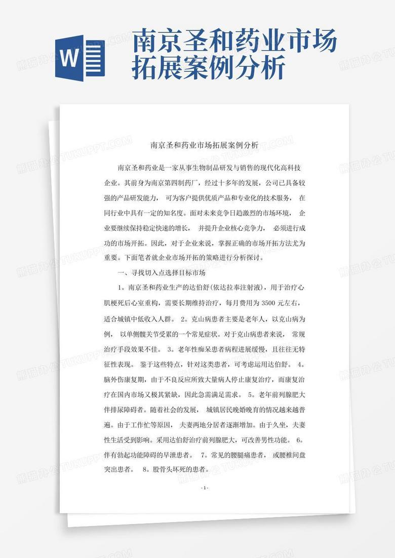 南京圣和药业市场拓展案例分析 Word模板下载 编号lgoavzjj 熊猫办公