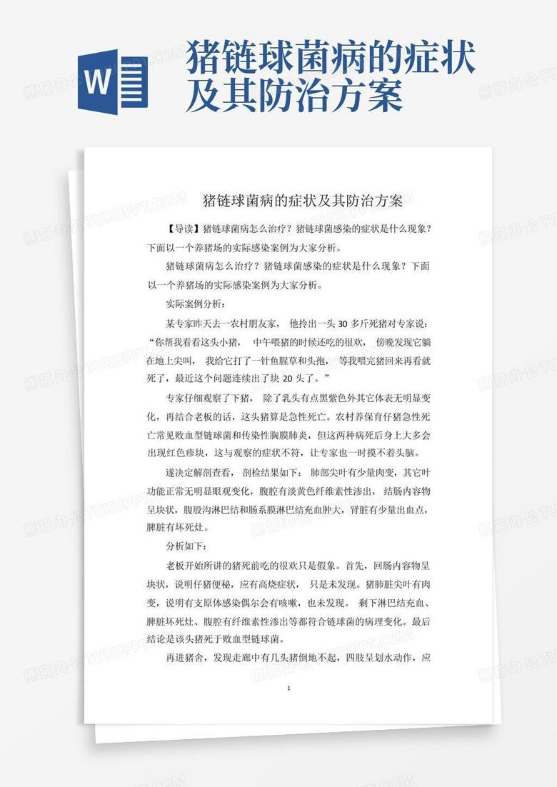 猪链球菌病的症状及其防治方案 Word模板下载 编号lozykkwg 熊猫办公