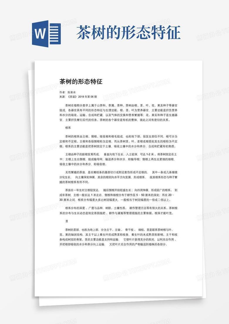 茶树的形态特征 Word模板下载 编号lbnxdydv 熊猫办公