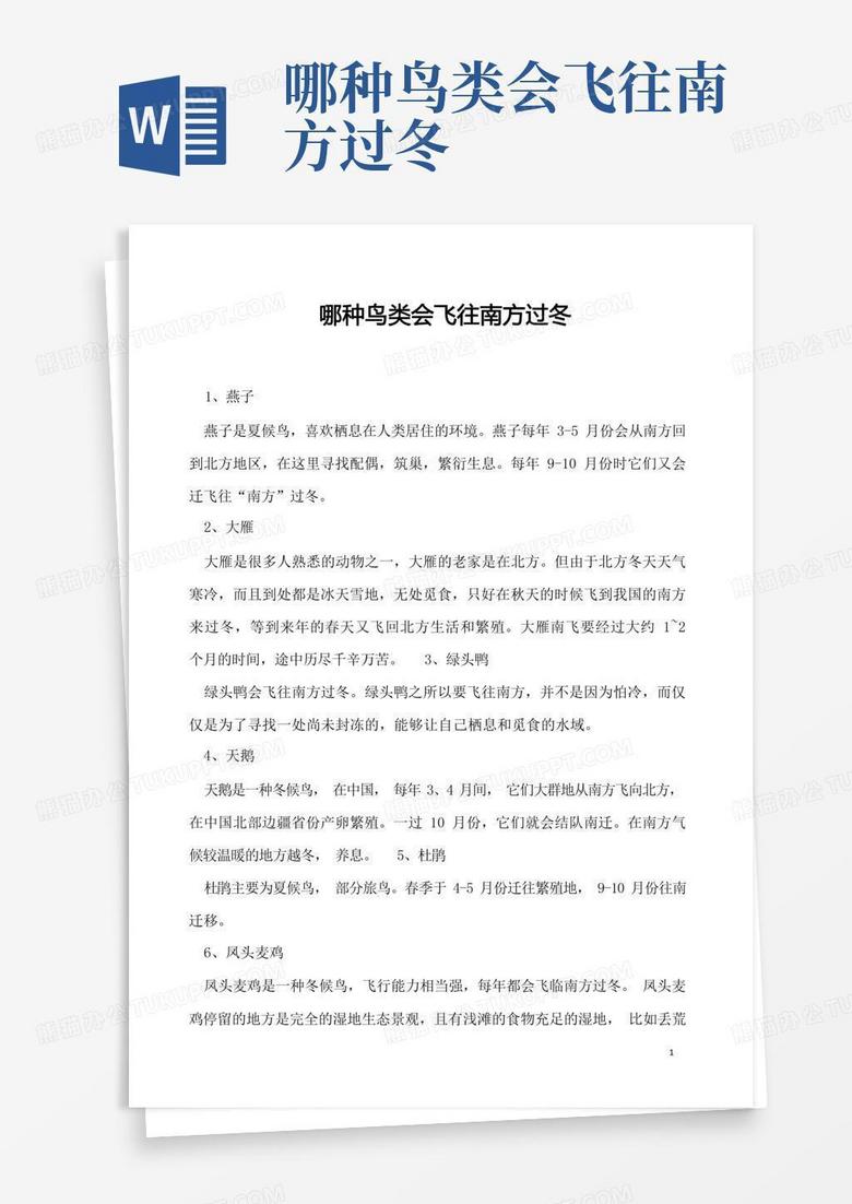 哪种鸟类会飞往南方过冬 Word模板下载 编号ldkgzjbn 熊猫办公