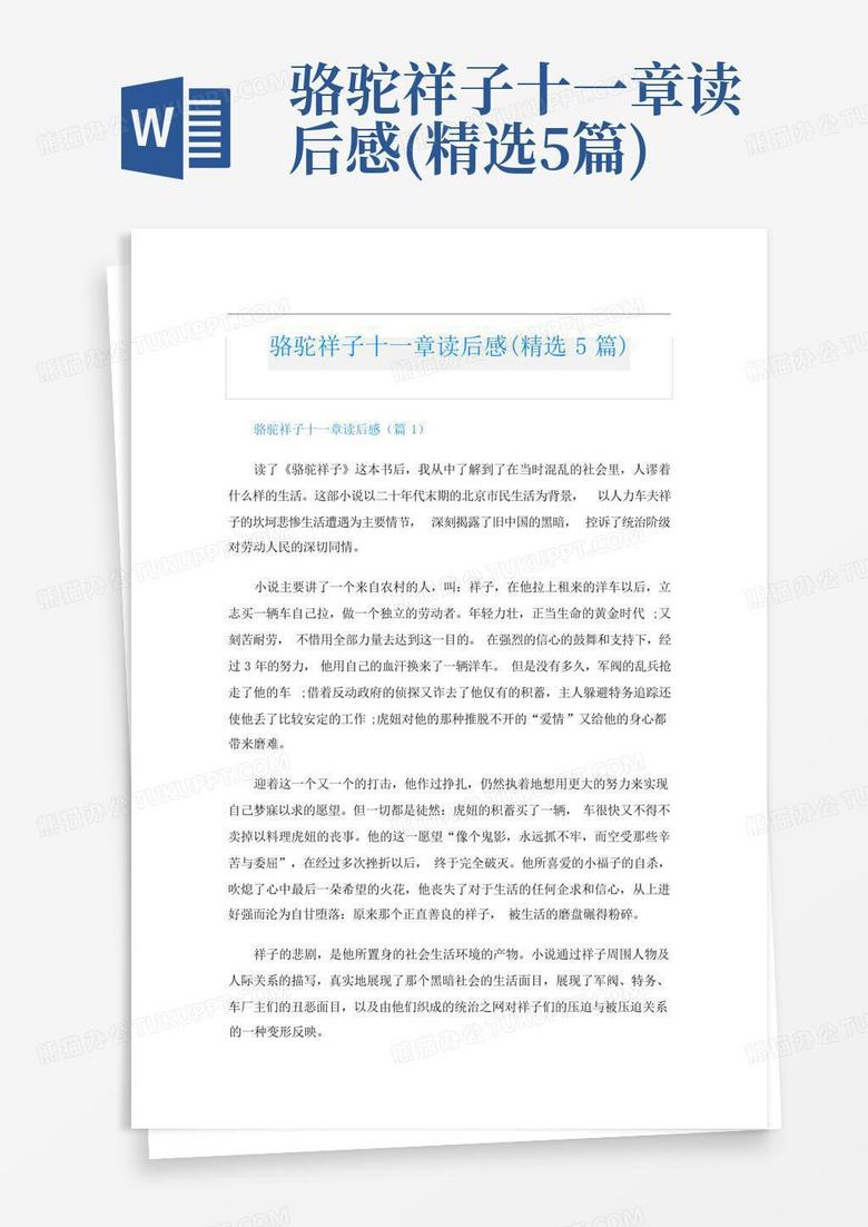 骆驼祥子十一章读后感 精选5篇 Word模板下载 编号lpdoxpvj 熊猫办公