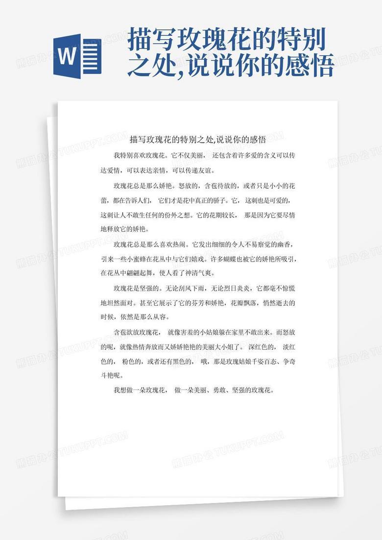 描写玫瑰花的特别之处 说说你的感悟 Word模板下载 编号lpddkven 熊猫办公