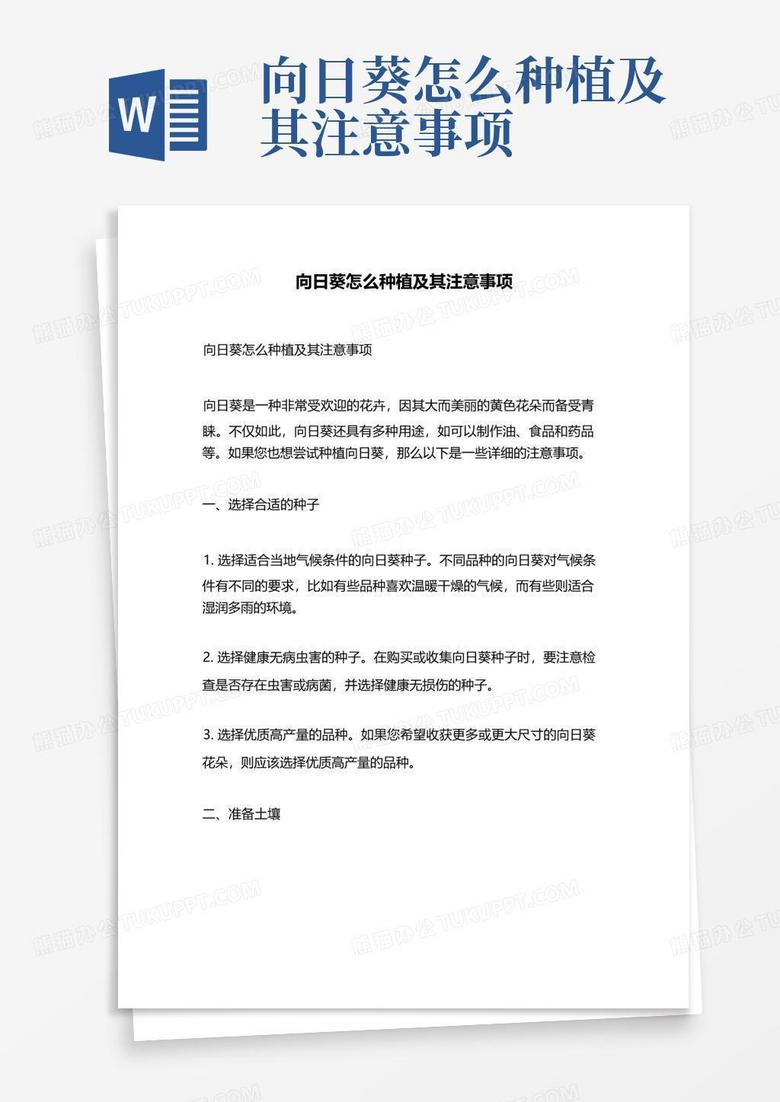向日葵怎么种植及其注意事项 Word模板下载 编号lazekggk 熊猫办公