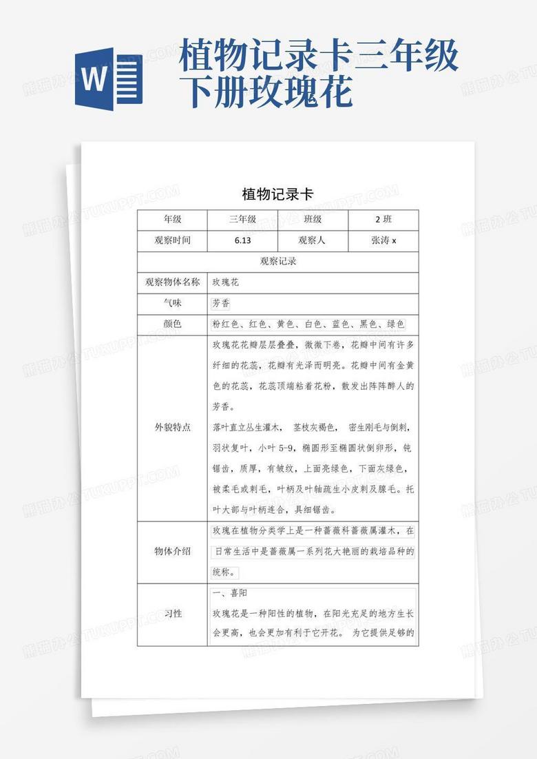 植物记录卡三年级下册玫瑰花 Word模板下载 编号lbbdbeao 熊猫办公