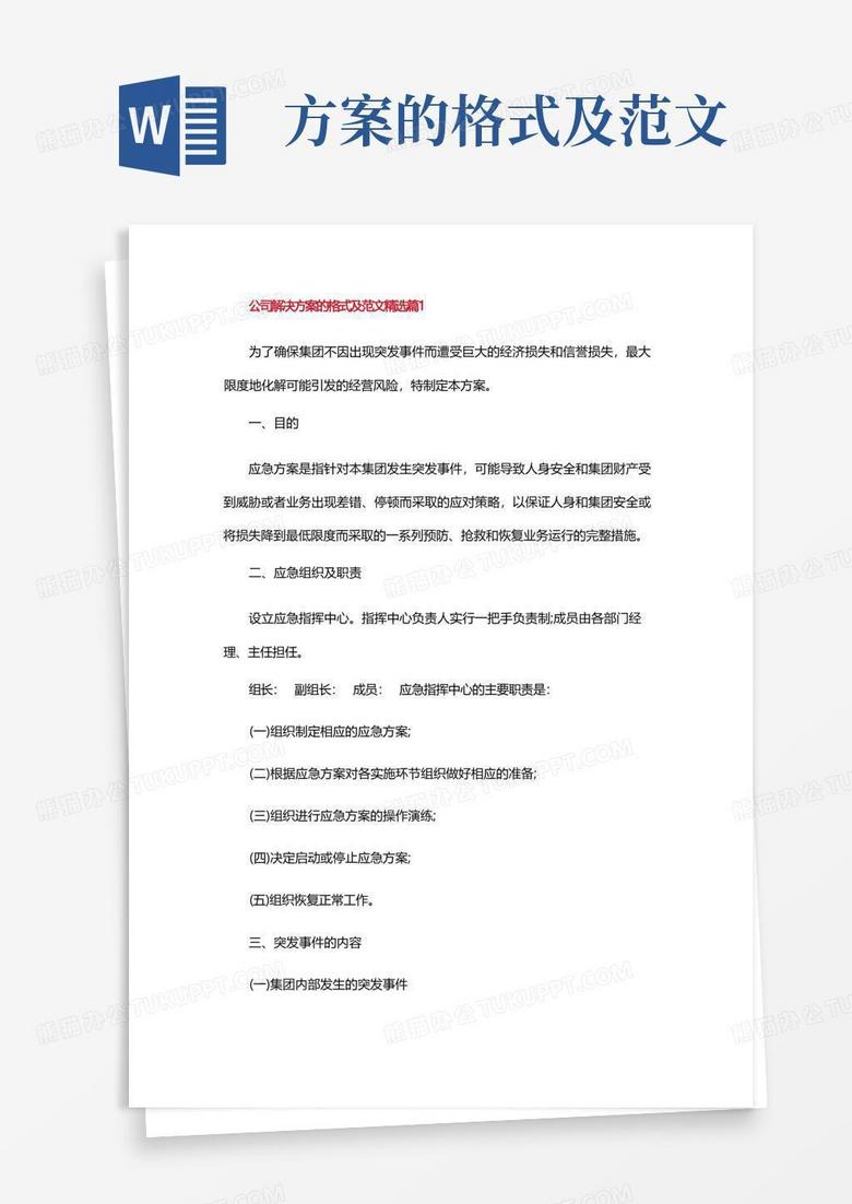 大气版公司解决方案的格式及范文Word模板下载 编号qvgjmkjl 熊猫办公