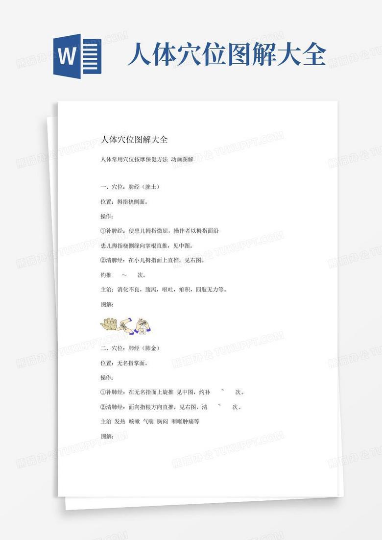 人体穴位图解大全Word模板下载 编号lwndnozx 熊猫办公
