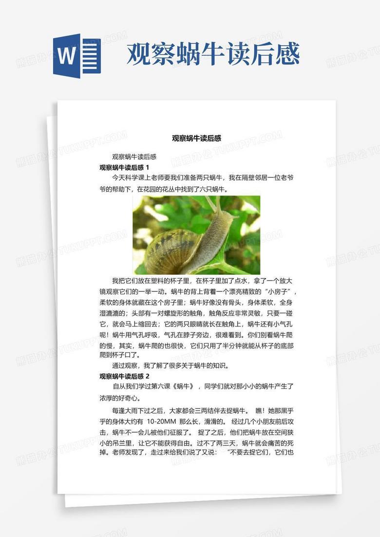 观察蜗牛读后感 Word模板下载 编号lozwvzbr 熊猫办公