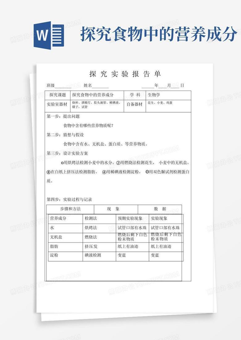 探究食物中的营养成分Word模板下载 编号qkneepjp 熊猫办公