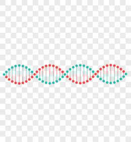 dna图片_dna素材_dnaPNG大全下载_熊猫办公