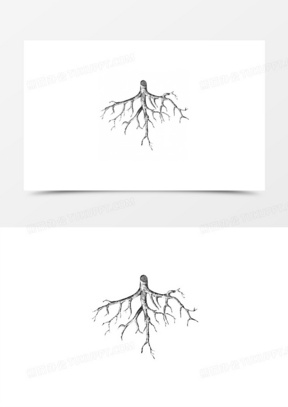 树根素材_树根图片_树根素材图片下载_熊猫办公
