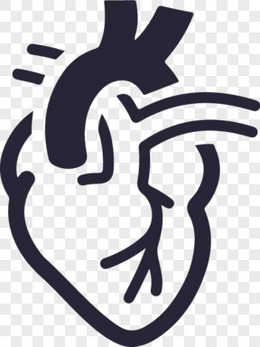 血管图片_血管素材_血管PNG大全下载_熊猫办公