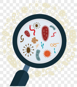 微生物卡通图片素材_微生物卡通PNG设计图片下载_熊猫办公