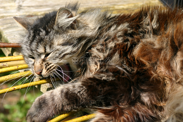 chat1jpg格式图片下载_熊猫办公