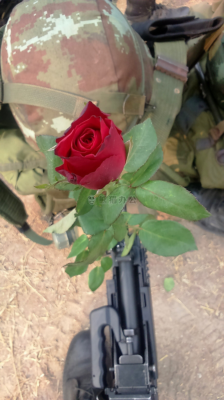 inf.bn.293jpg格式图片下载_熊猫办公