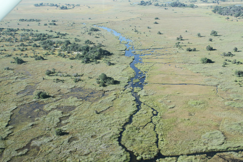 博茨瓦纳okawango三角洲jpg格式图片下载_熊猫办公