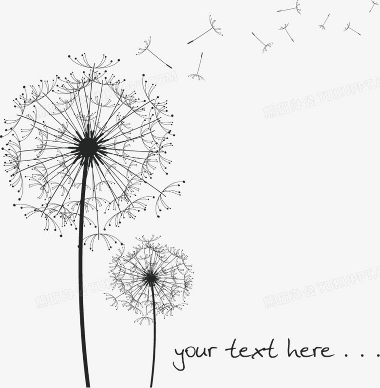 蒲公英矢量图PNG图片素材下载_矢量图PNG_熊猫办公