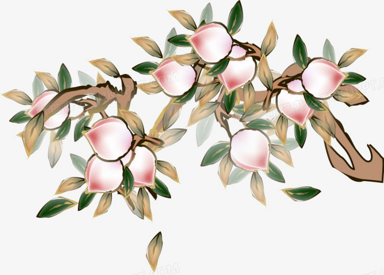 卡通手绘桃树桃子PNG图片素材下载_卡通PNG_熊猫办公