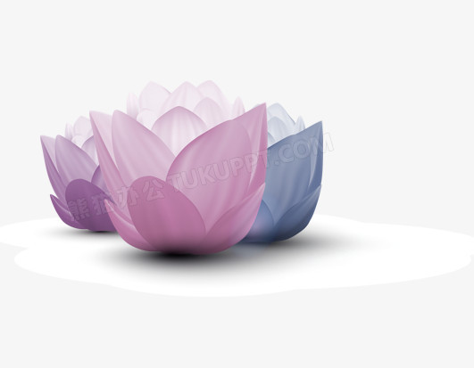 莲花PNG图片素材下载_莲花PNG_熊猫办公