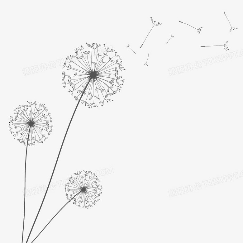 矢量蒲公英PNG图片素材下载_蒲公英矢量PNG_熊猫办公