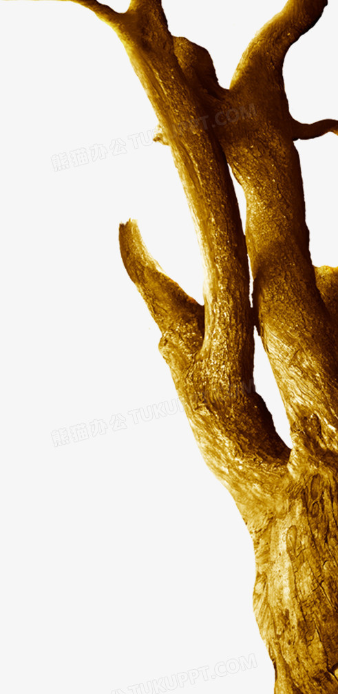 树根PNG图片素材下载_树根PNG_熊猫办公
