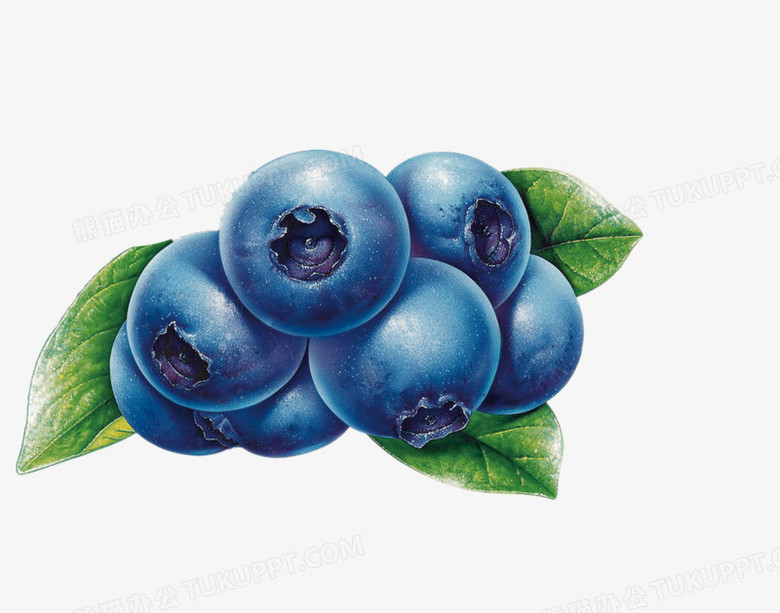 水果PNG图片素材下载_水果PNG_熊猫办公