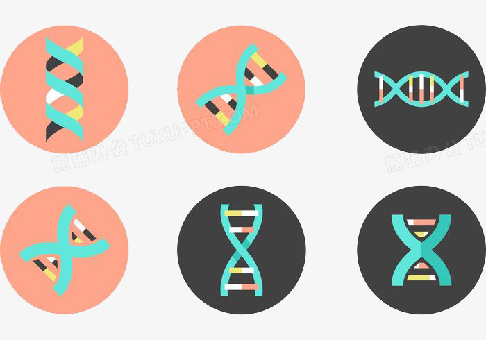dna双螺旋矢量图标PNG图片素材下载_图标PNG_熊猫办公