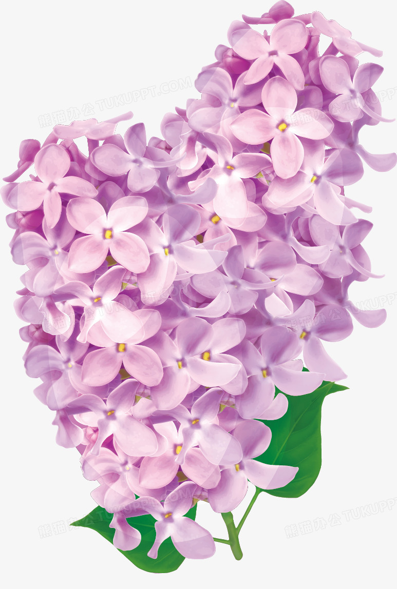 紫色花矢量图PNG图片素材下载_紫色PNG_熊猫办公