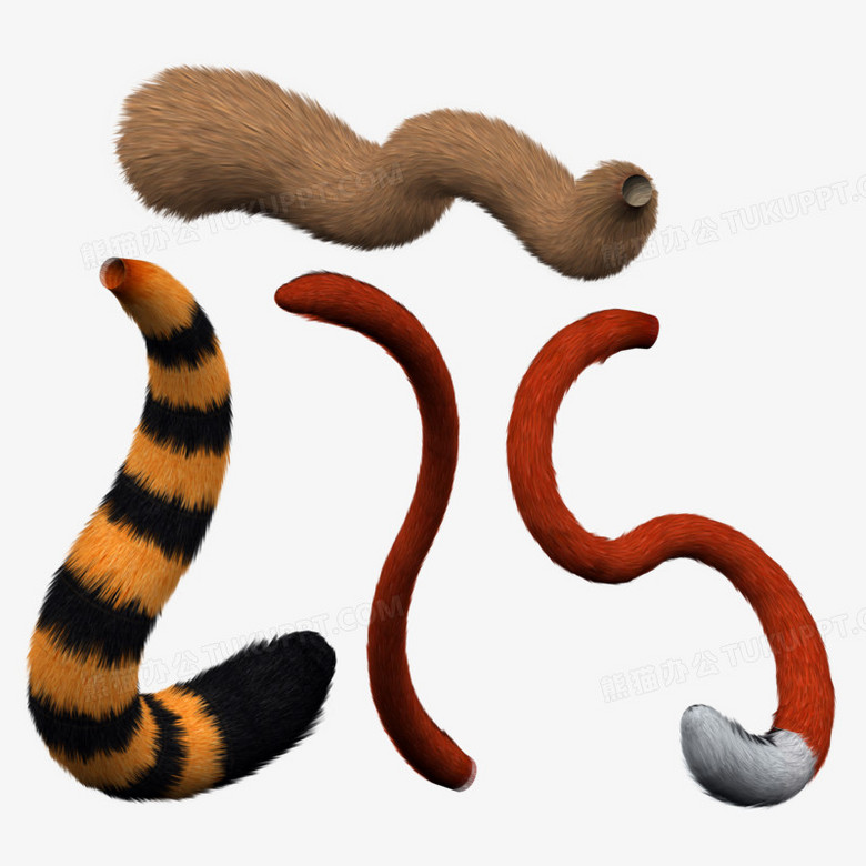 漂亮的尾巴PNG图片素材下载_漂亮PNG_熊猫办公