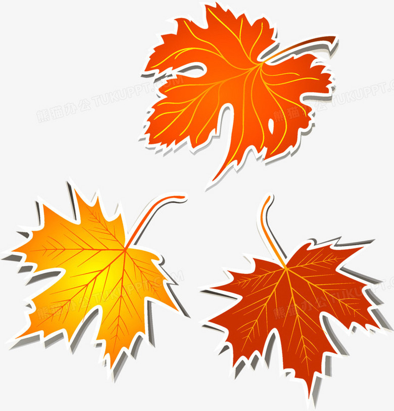 枫叶PNG图片素材下载_枫叶PNG_熊猫办公