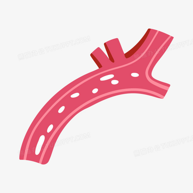 卡通矢量血管免抠元素PNG图片素材下载_矢量PNG_熊猫办公