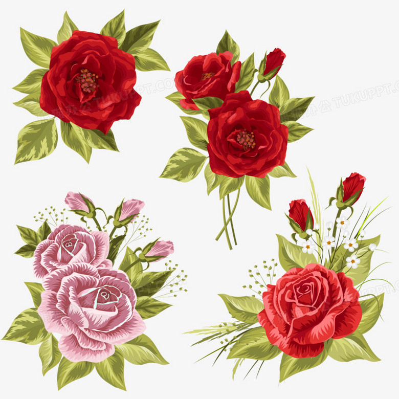 玫瑰PNG图片素材下载_玫瑰PNG_熊猫办公