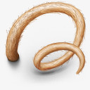 猪尾巴的图标PNG图片素材下载_图标PNG_熊猫办公