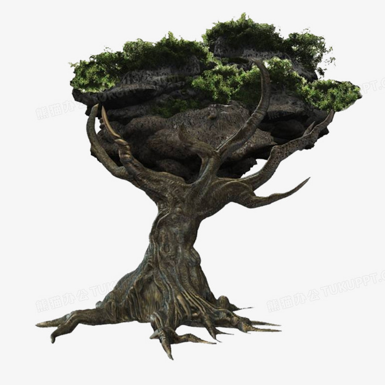 树PNG图片素材下载_老树PNG_熊猫办公
