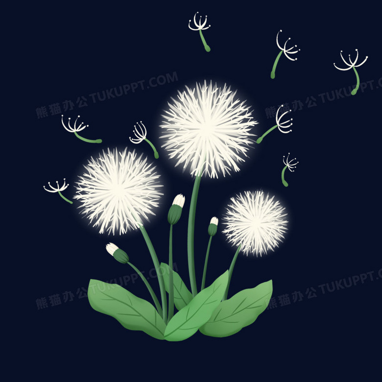 手绘卡通蒲公英免抠PNG图片素材下载_素材PNG_熊猫办公