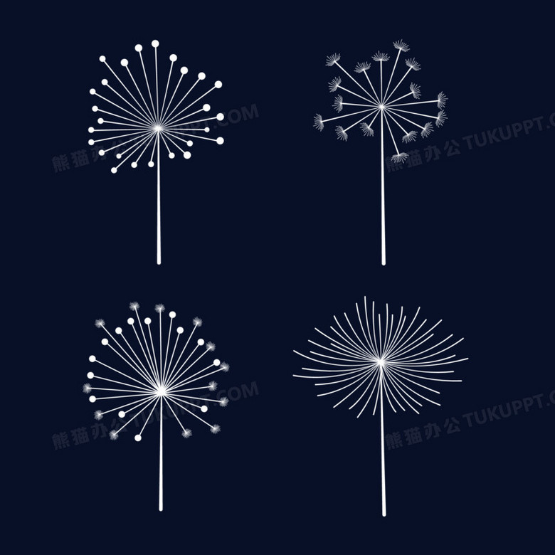 一组矢量白色蒲公英花免抠装饰PNG图片素材下载_素材PNG_熊猫办公