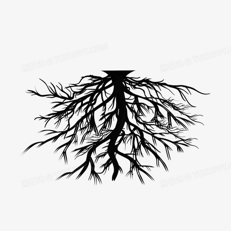 黑色简约大树树根PNG图片素材下载_素材PNG_熊猫办公