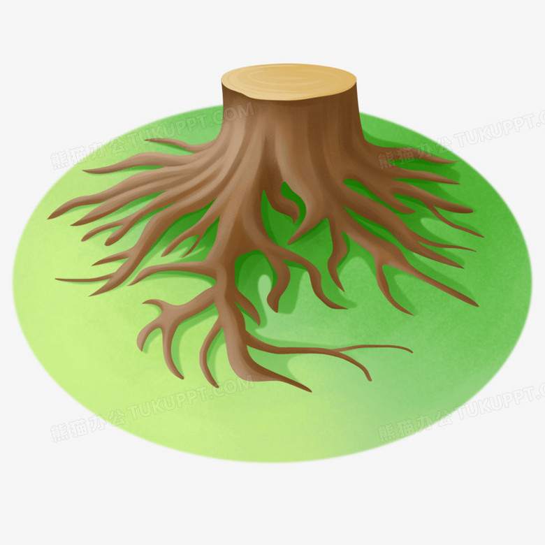 手绘写实大树树根元素PNG图片素材下载_元素PNG_熊猫办公
