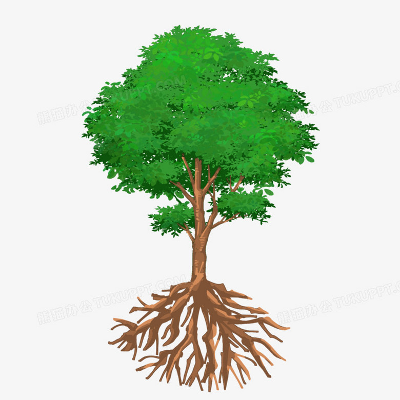 手绘大树树根插画免抠PNG图片素材下载_大树PNG_熊猫办公