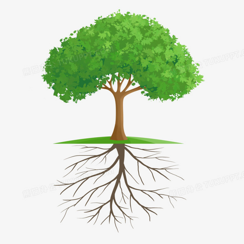 手绘大树树根插画元素PNG图片素材下载_插画PNG_熊猫办公